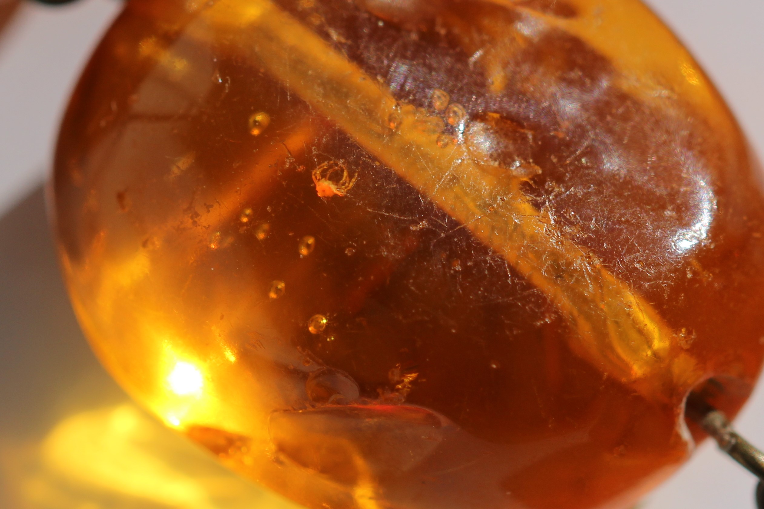 Amber: natural, clarified or pressed – navette jewellery